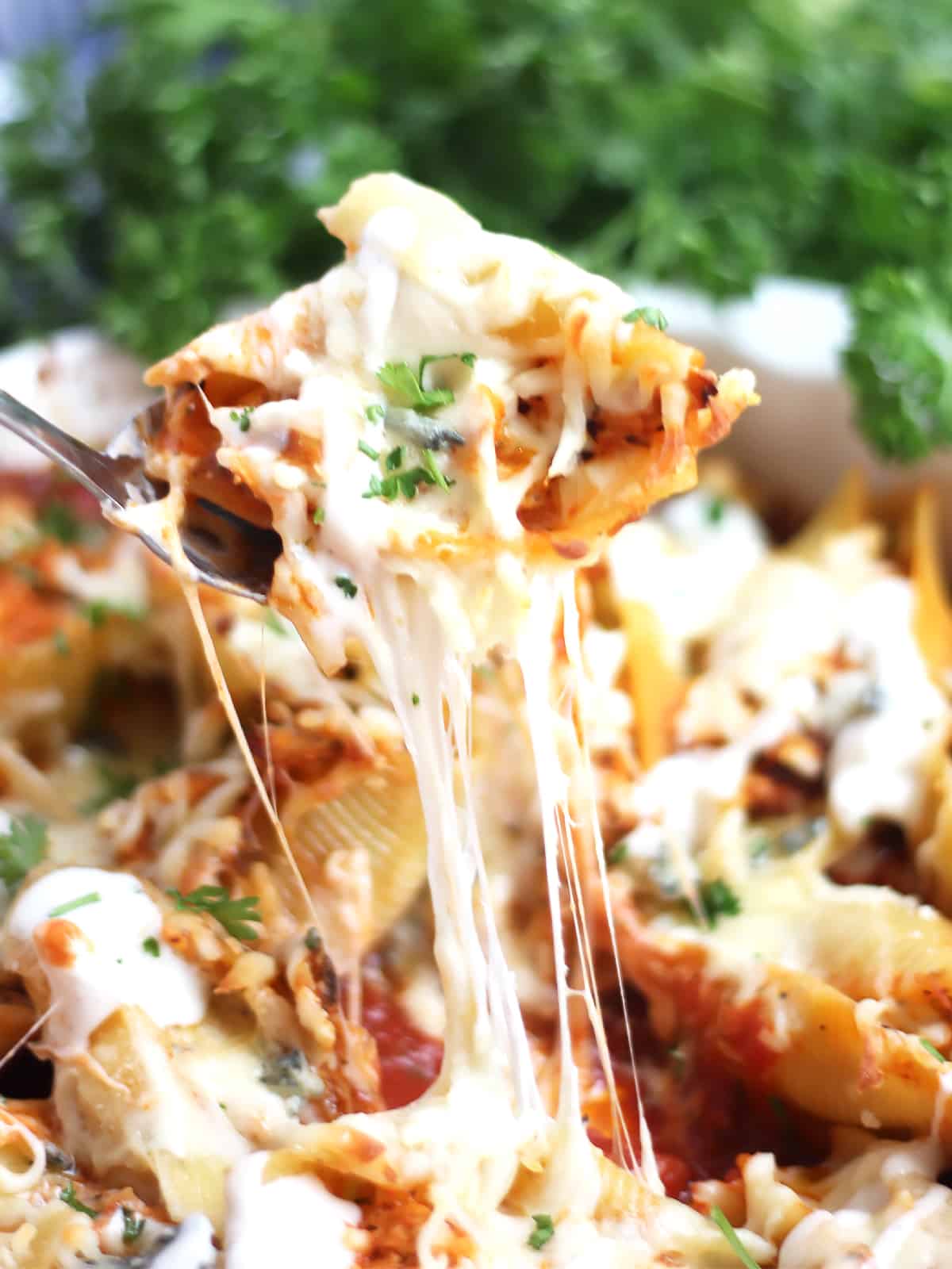 Buffalo Chicken Stuffed Shells - Slow The Cook Down