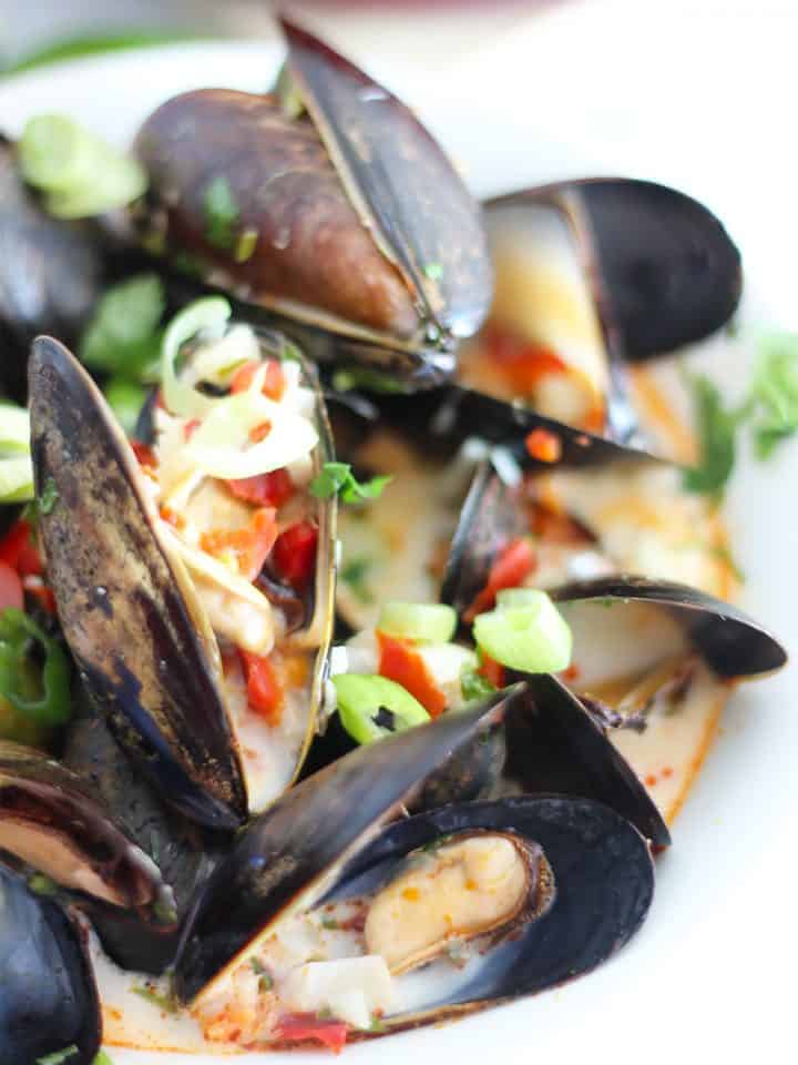 Chilli Mussels in Coconut Milk - Slow The Cook Down