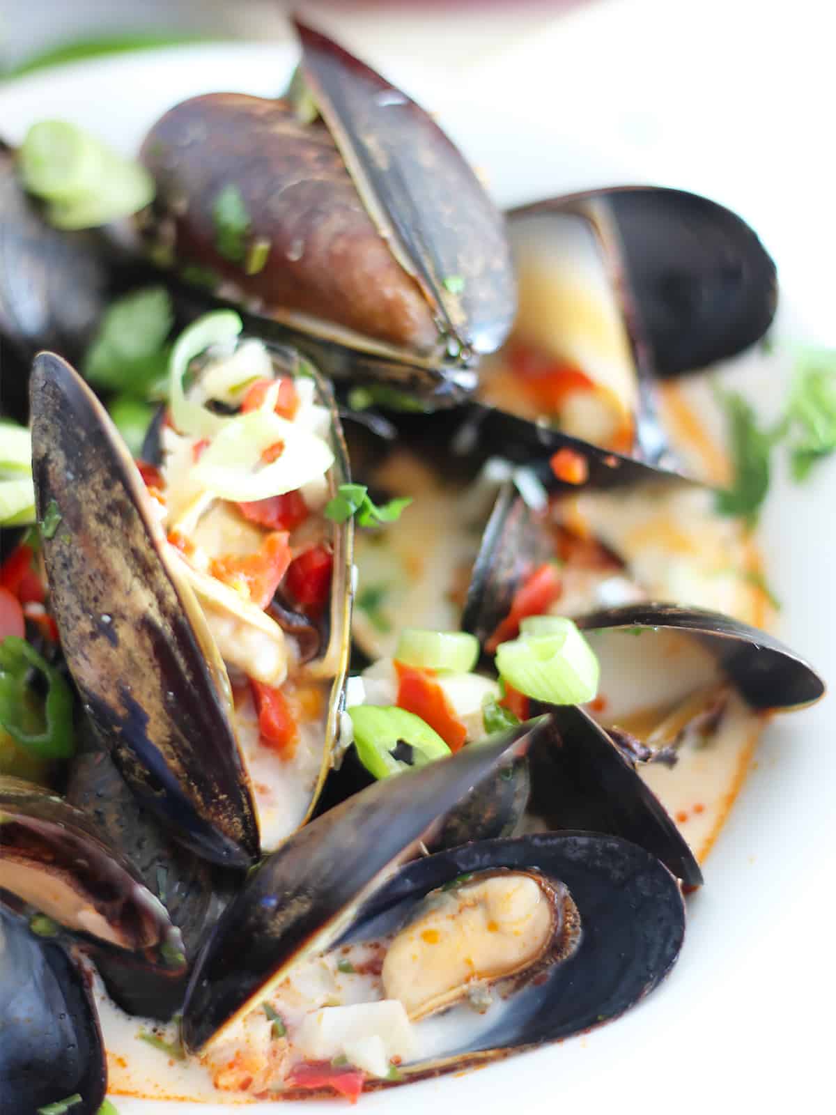 Chilli Mussels in Coconut Milk - Slow The Cook Down
