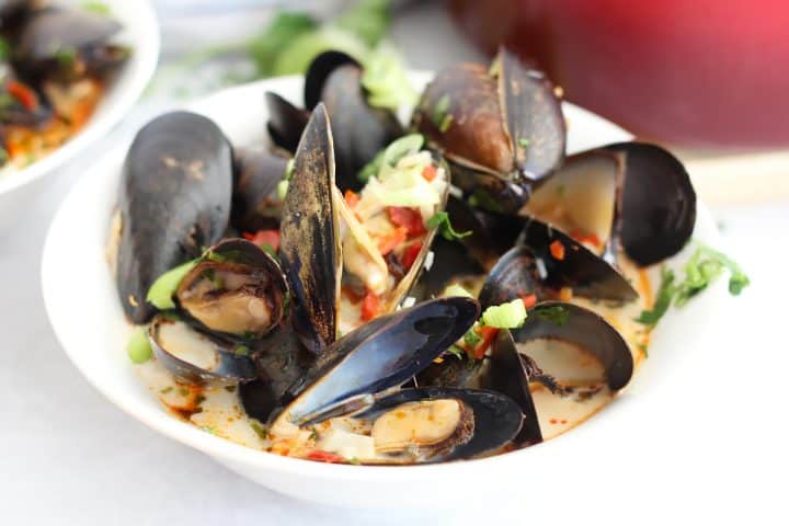 Chilli Mussels in Coconut Milk - Slow The Cook Down
